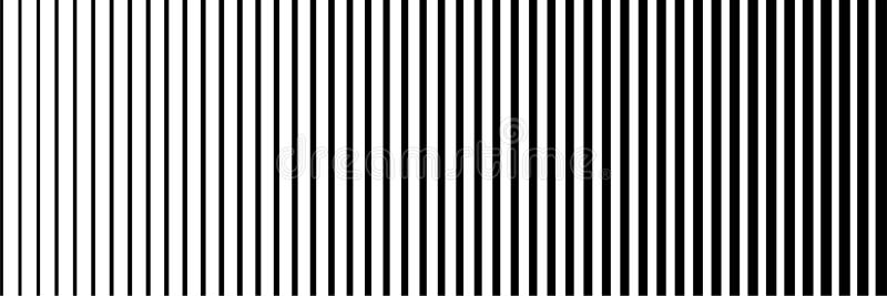 Stripes.Lines from Thin To Thick.straight, Parallel Vertical. Stock ...