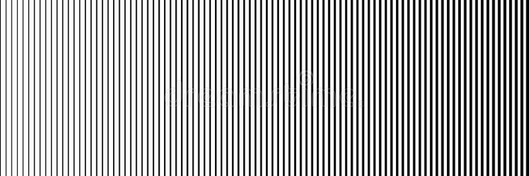 Stripes.Lines from Thin To Thick.straight, Parallel Vertical. Stock ...