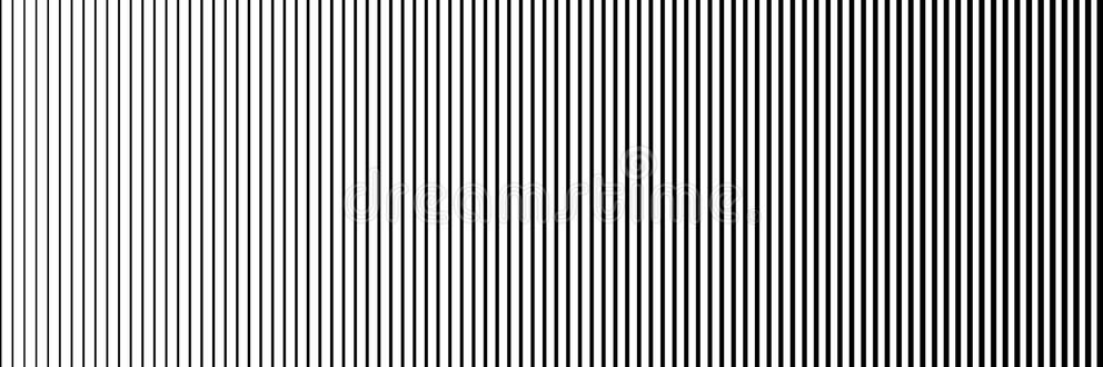 Stripes.Lines from Thin To Thick.straight, Parallel Vertical. Stock ...