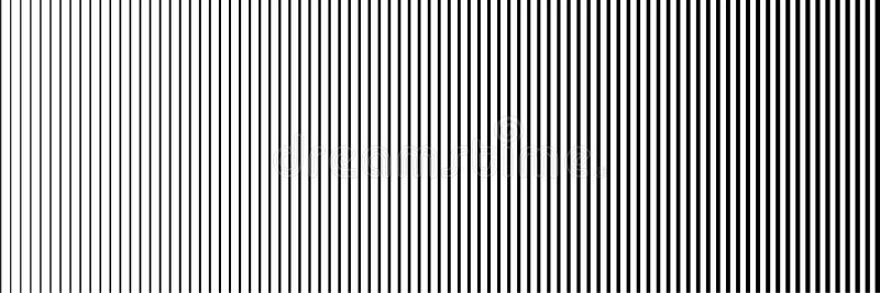 Stripes.Lines from Thin To Thick.straight, Parallel Vertical. Stock ... Stripes.Lines from Thin To Thick.straight, Parallel Vertical. Stock ...