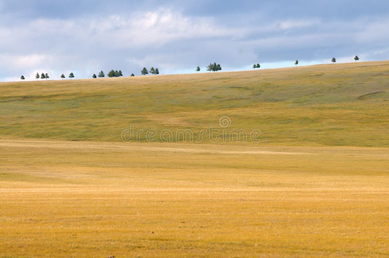 Lines of trees on horizon stock photo. Image of environment - 29675826