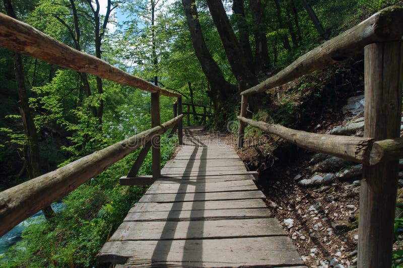 Lines on Wooden Path Near the River. Stock Photo - Image of path, track ...