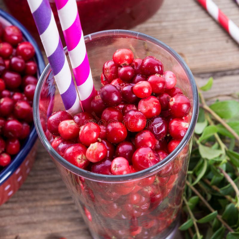 Lingon arkivfoto. Bild av sunt, makro, medicin, lampa - 46280038