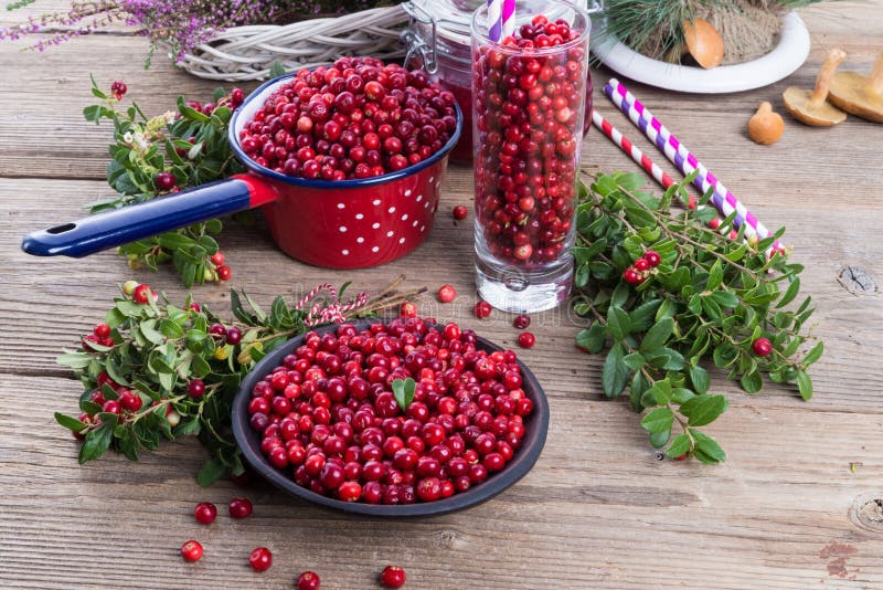 Lingonberries stock image. Image of cowberry, leaf, juicy - 45656389