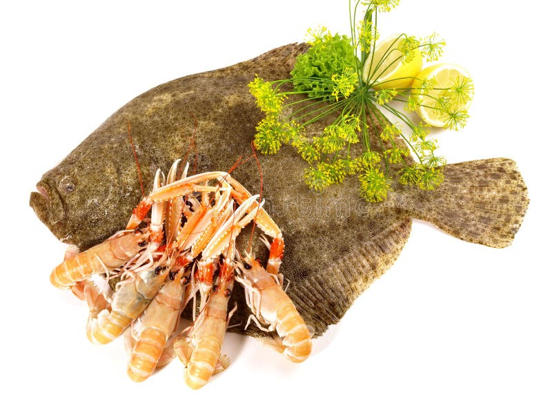 Linguado - Peixe Heterossomo Dos Peixes Imagem de Stock - Imagem de ...