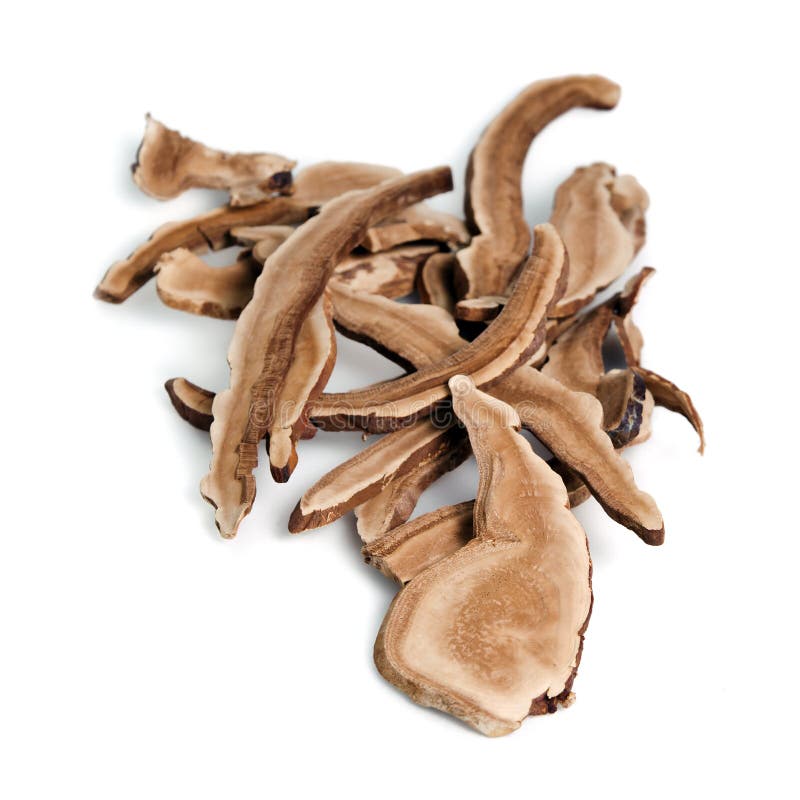 Lingzhi-Pilz, Chinesische Traditionelle Medizin, Ganoderma Lucidu ...