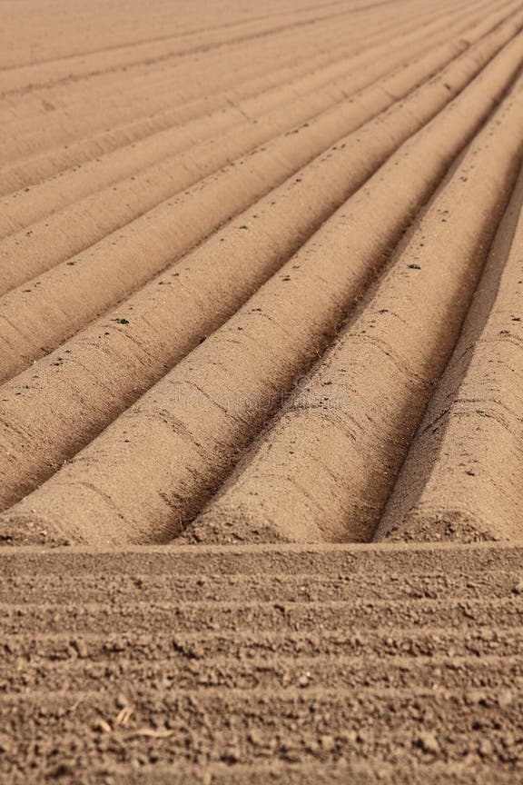 Linhas da terra imagem de stock. Imagem de terra, linha - 19341279
