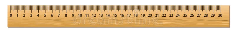 En Realistisk Trälinjal Av 30 Cm Och 12 Tum Vektor Illustrationer ...