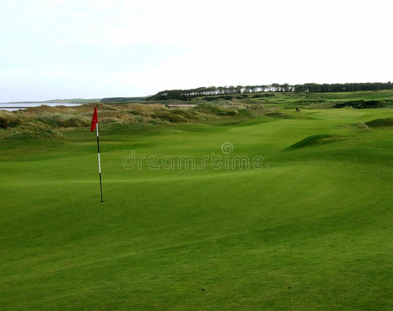 Links golf stock image. Image of british, golfing, putt - 1892159