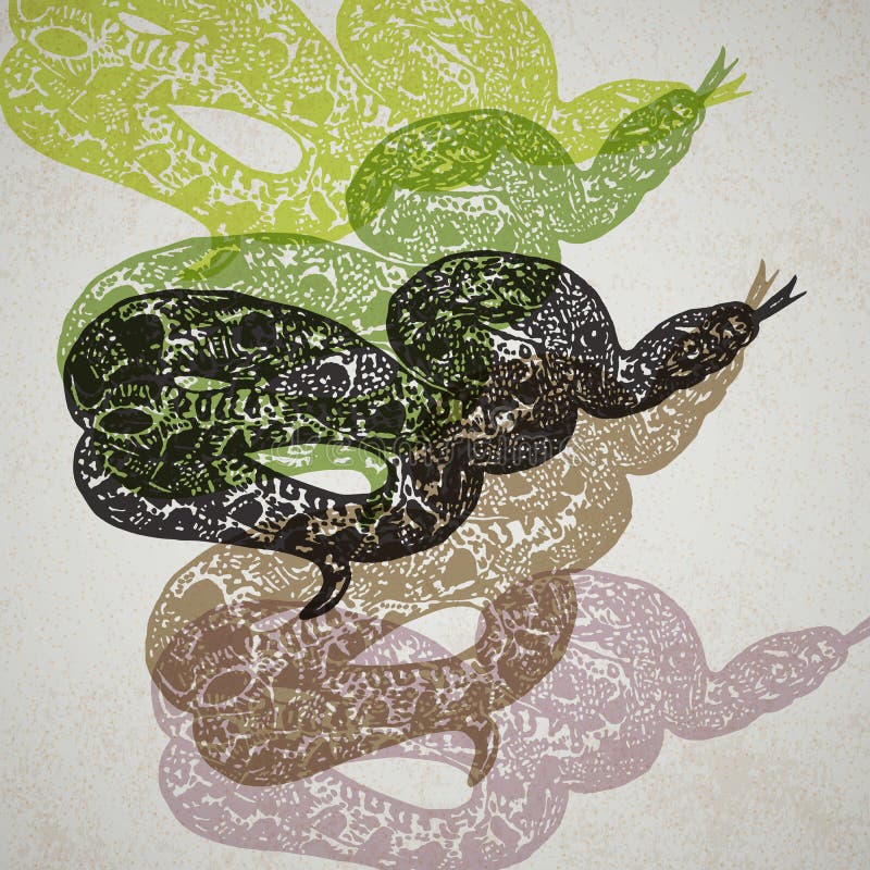 Boa Constrictor Snake Stock Illustrations – 813 Boa Constrictor Snake ...