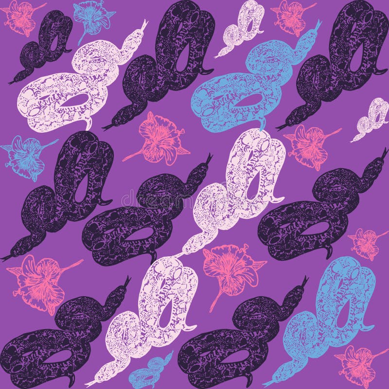 Boa Constrictor Snake Stock Illustrations – 813 Boa Constrictor Snake ...