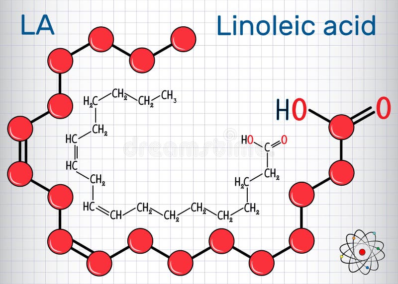 Linoleic Acid LA. Structural Chemical Formula and Molecule Mod Stock ...