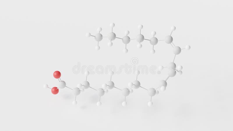 Linoleic Acid Molecule 3d, Molecular Structure, Ball and Stick Model ...