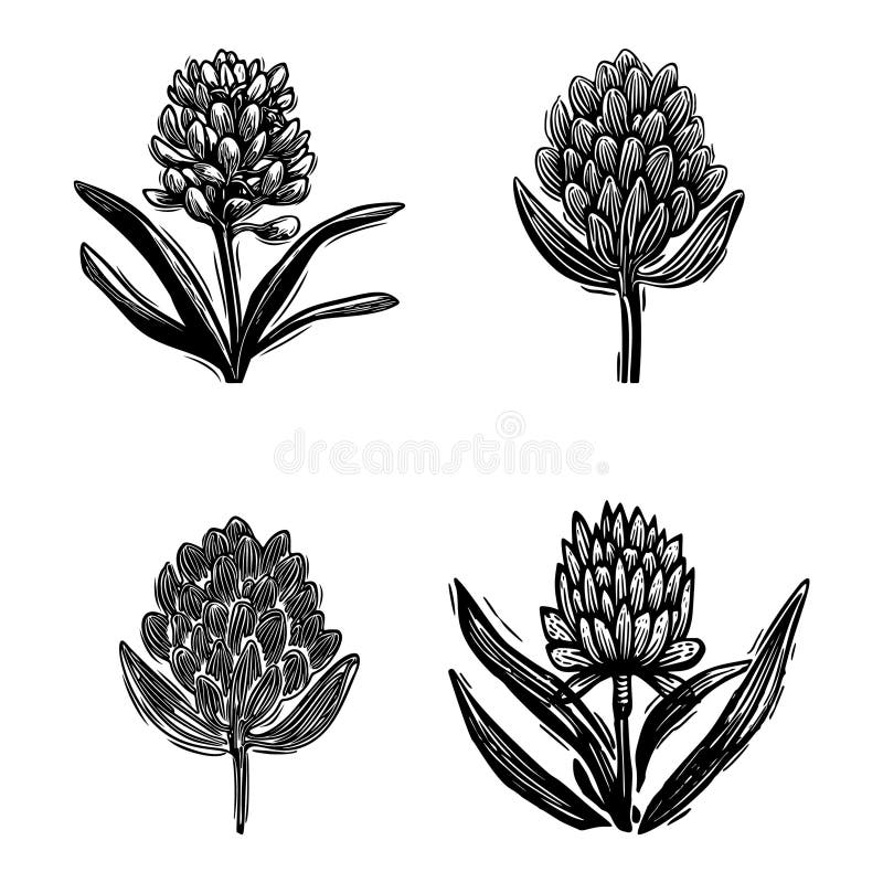 Linotype Floral Icon Collection in Whimsical Vector Art. Decorative ...