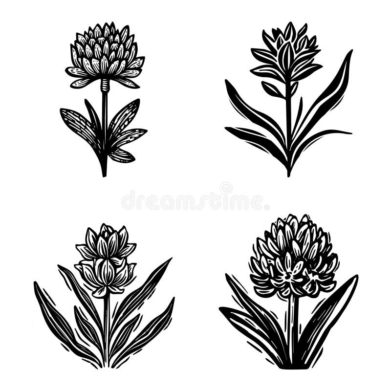 Linotype Floral Icon Collection in Whimsical Vector Art. Decorative ...