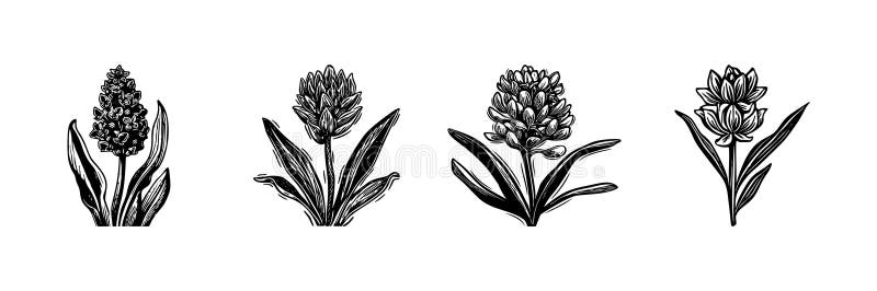 Linotype Floral Icon Collection in Whimsical Vector Art. Decorative ...