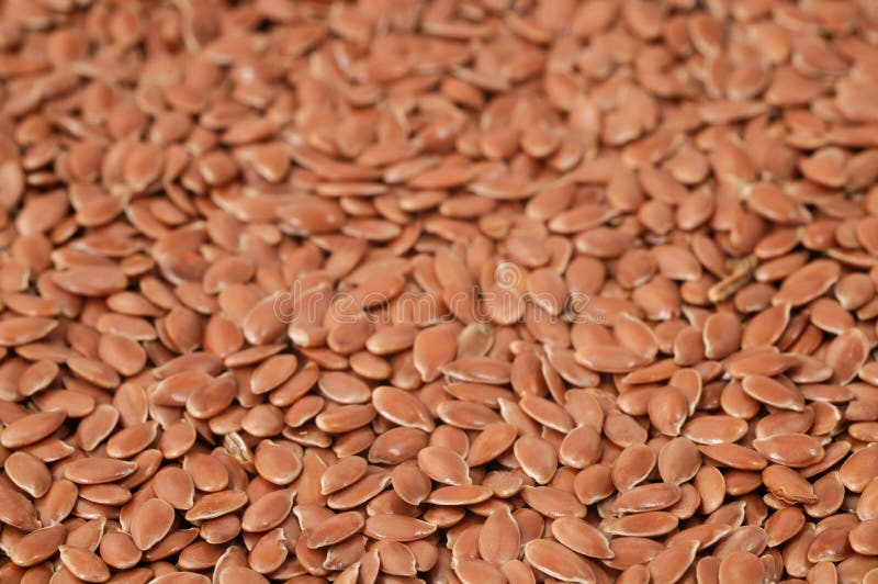 Linseed stock image. Image of linseed, grain, organic - 12258037
