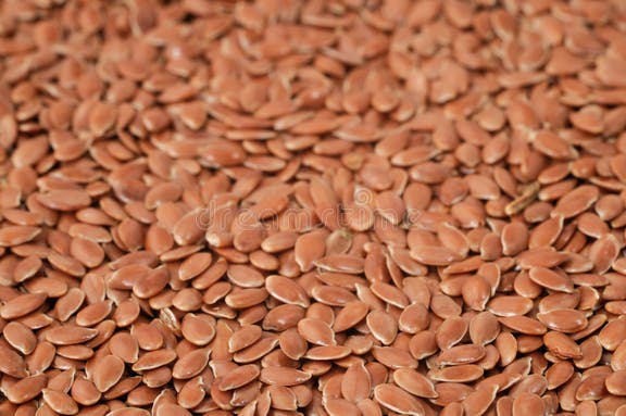 Linseed stock image. Image of linseed, grain, organic - 12258037