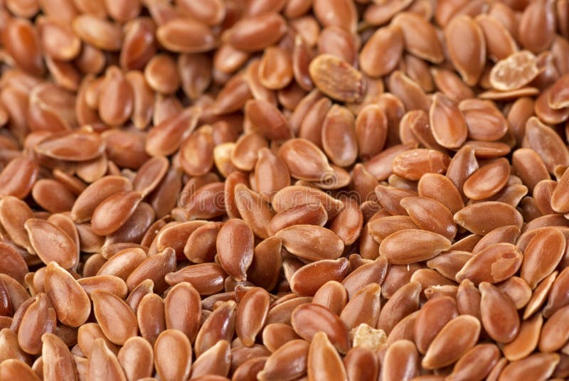 Field of Linseed or Flax in Flower Stock Image - Image of crop, growth ...
