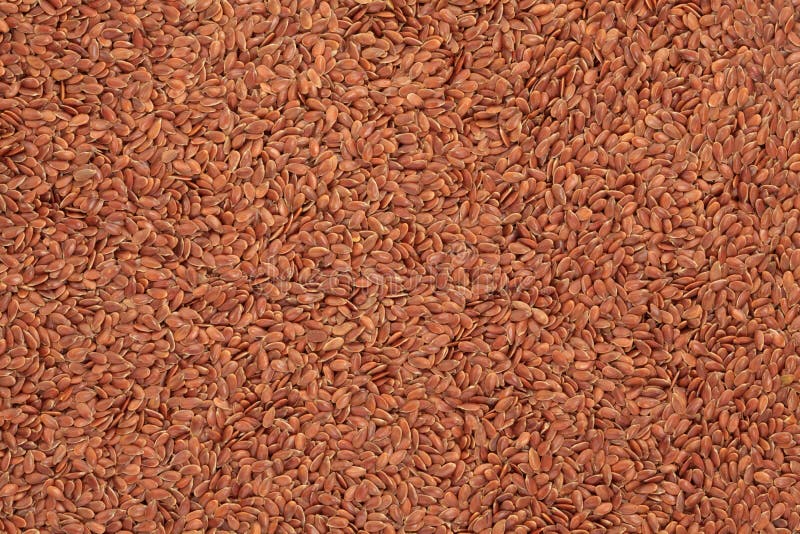 Linseed stock image. Image of healthy, textured, flax - 19029957