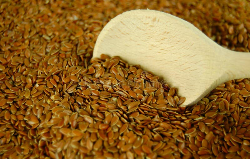 Linseed stock image. Image of natural, linseed, organic - 21962203