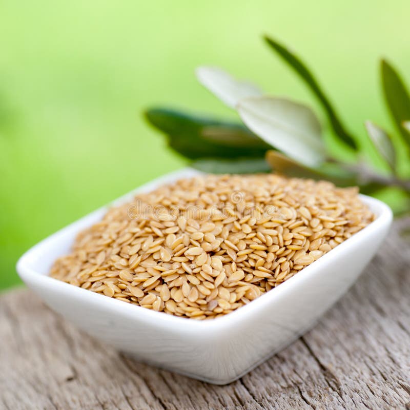 Linseed stock photo. Image of harvesting, fresh, food - 25812118