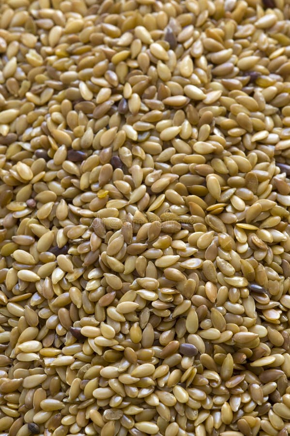 Linseed stock photo. Image of grain, frame, fullframe - 27103774