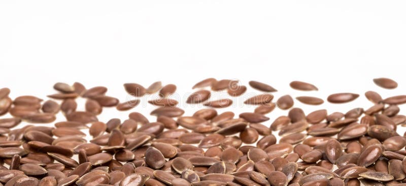 Linseed lower page border stock photo. Image of flax - 95762822
