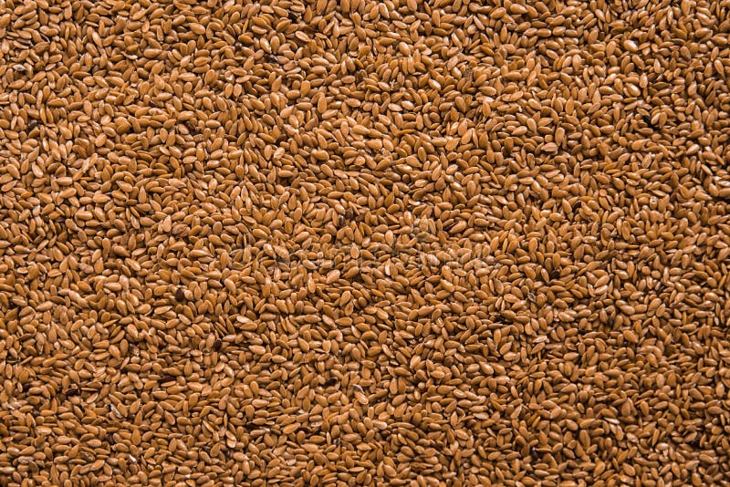 Linseed seeds stock image. Image of grain, diet, close - 167592325
