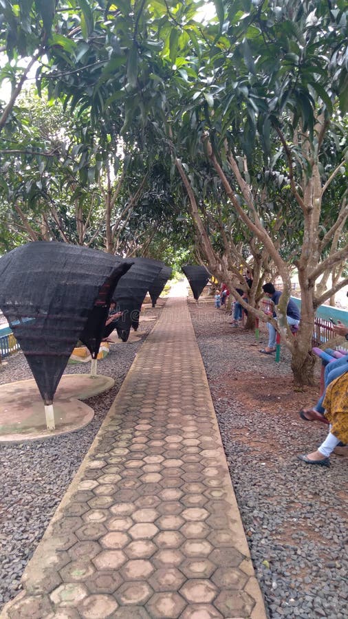 Lintang Batang Botany Square in Kalimantan Tengah Editorial Image ...