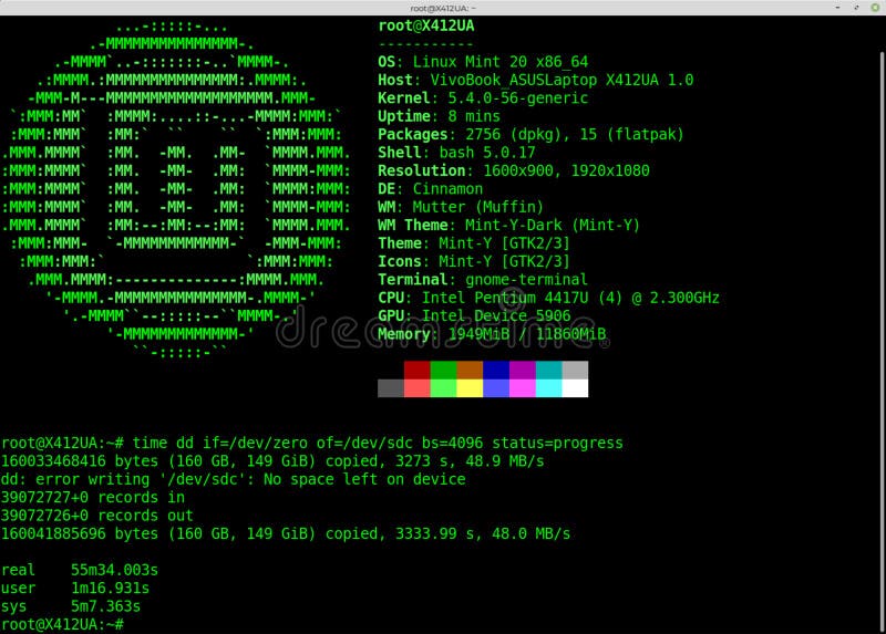 Linux Mint Screen Display it Details and Configuration after Logon To ...