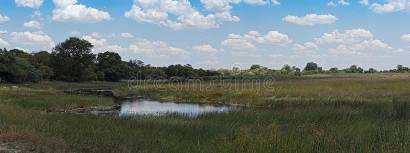 Linyanti Swamp on the Border of Botswana, Namibia Stock Image - Image ...