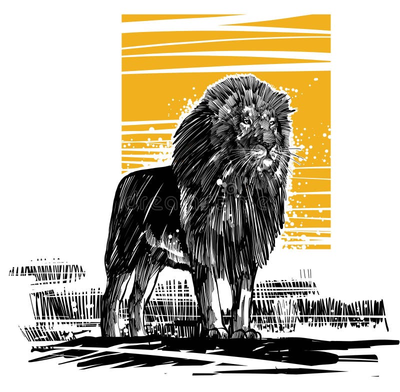 Lion Drawing (illustration) in Vector Format Stock Vector ...