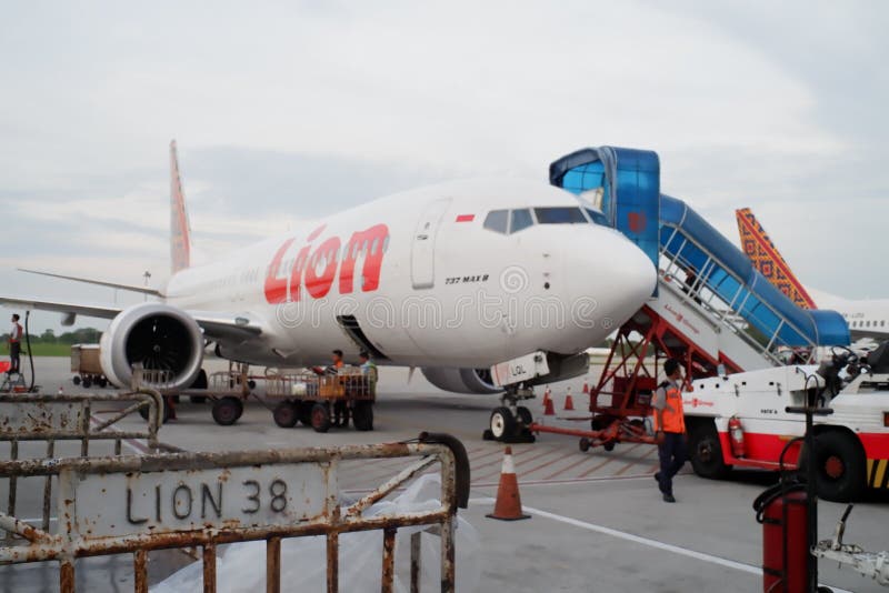 The lion air editorial photography. Image of lionair - 138463587