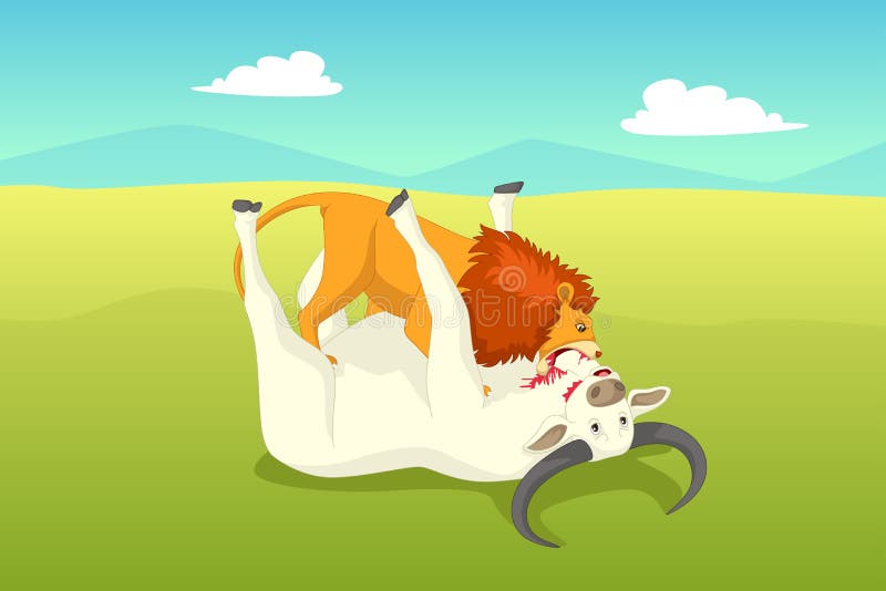 Lion Attacking a Buffalo Illustration Stock Vector - Illustration of ... Lion Attacking a Buffalo Illustration Stock Vector - Illustration of ...