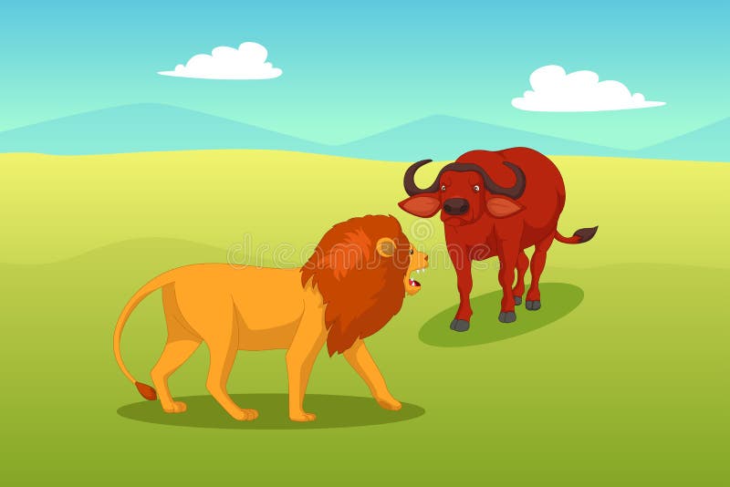 Lion Attacking a Buffalo Illustration Stock Vector - Illustration of ...