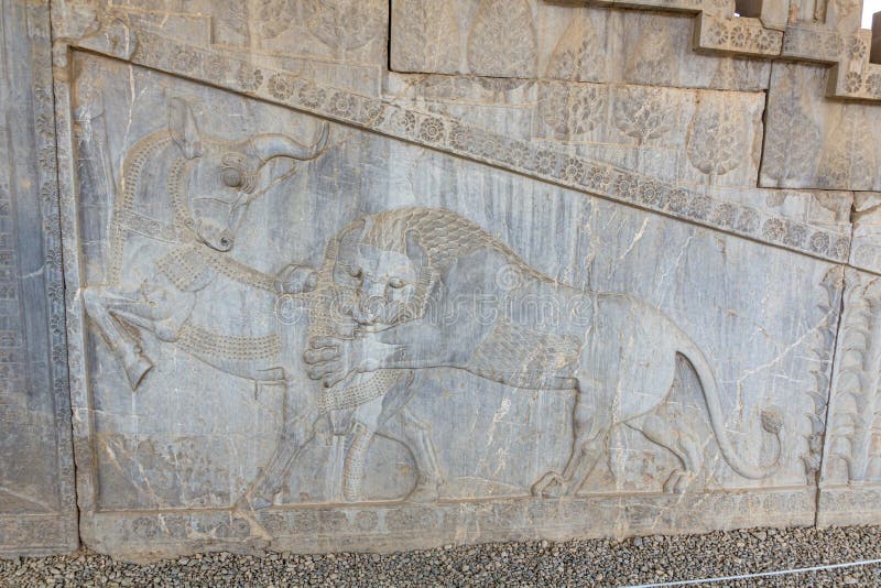 Lion Attacking a Bull in the Ancient Persepolis, Ir Stock Photo - Image ...