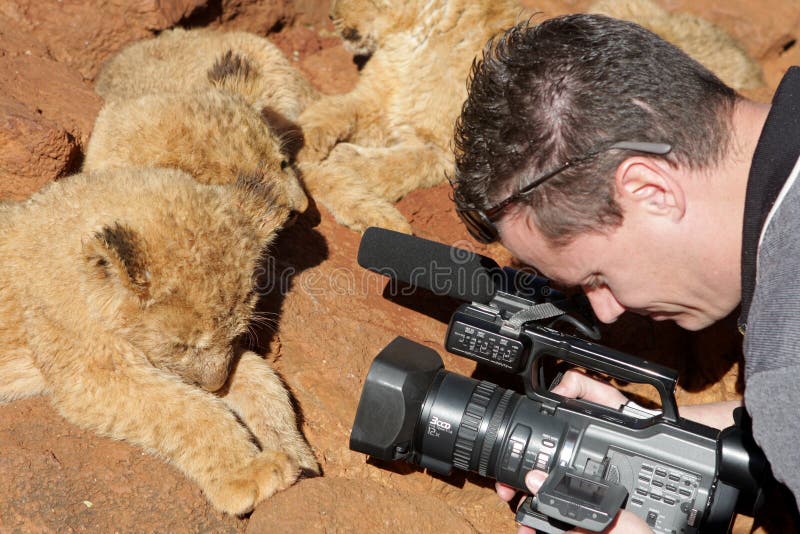 Lion Camera Picture. Image: 5713527