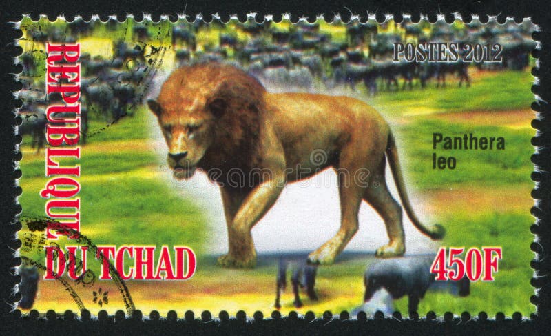 Lion stock image. Image of nature, fauna, seal, panthera - 334217803