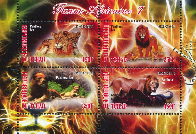 Lion stock image. Image of mail, african, ancient, animal - 362445493