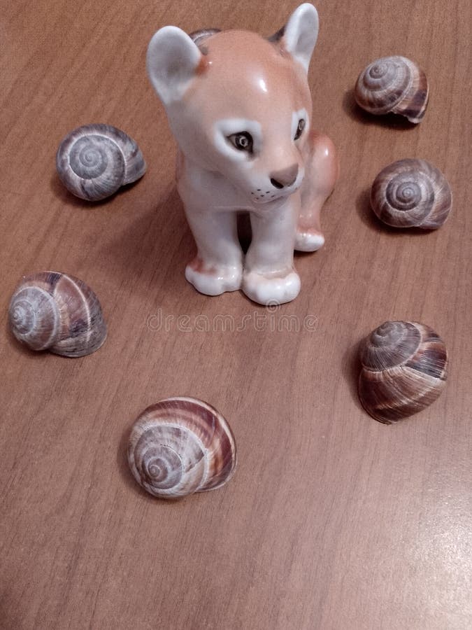 A Lion Cub Surrounded by Seven Snails Stock Photo - Image of lbve ...