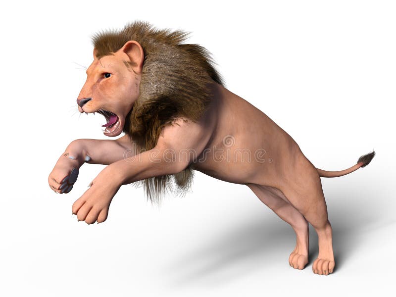 Lion stock illustration. Illustration of white, family - 71548470