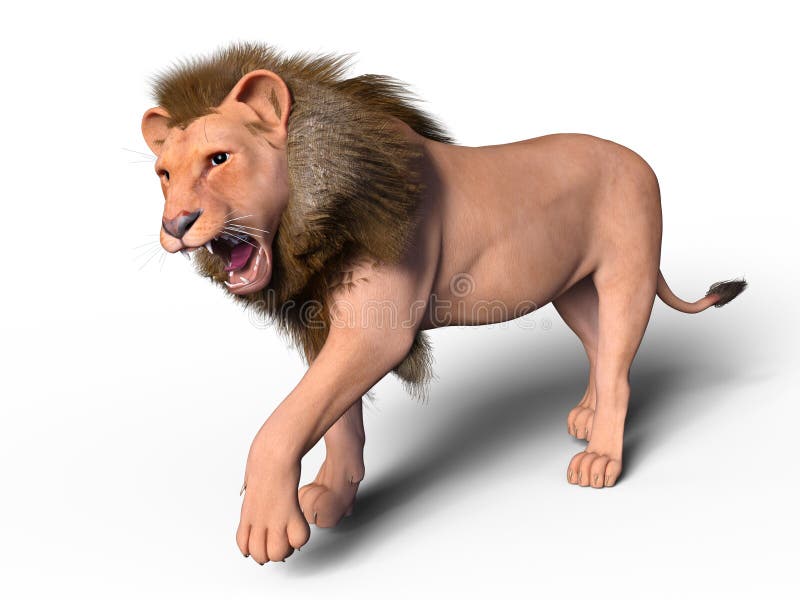 Lion stock illustration. Illustration of white, king - 71548794