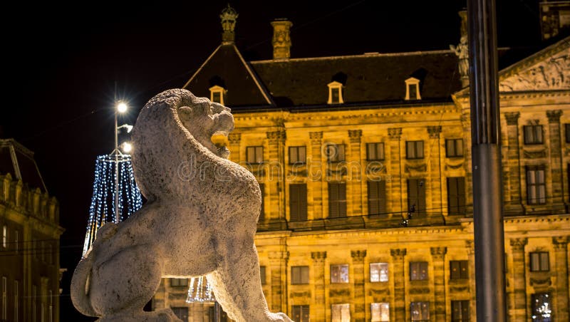 Lion in dam square stock image. Image of night, square - 94103519