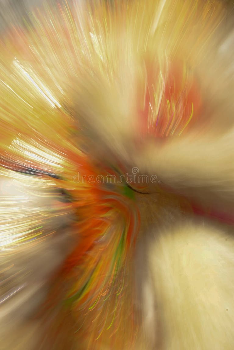 11,584 Lion Dance Wwm Stock Photos - Free & Royalty-Free Stock Photos ...