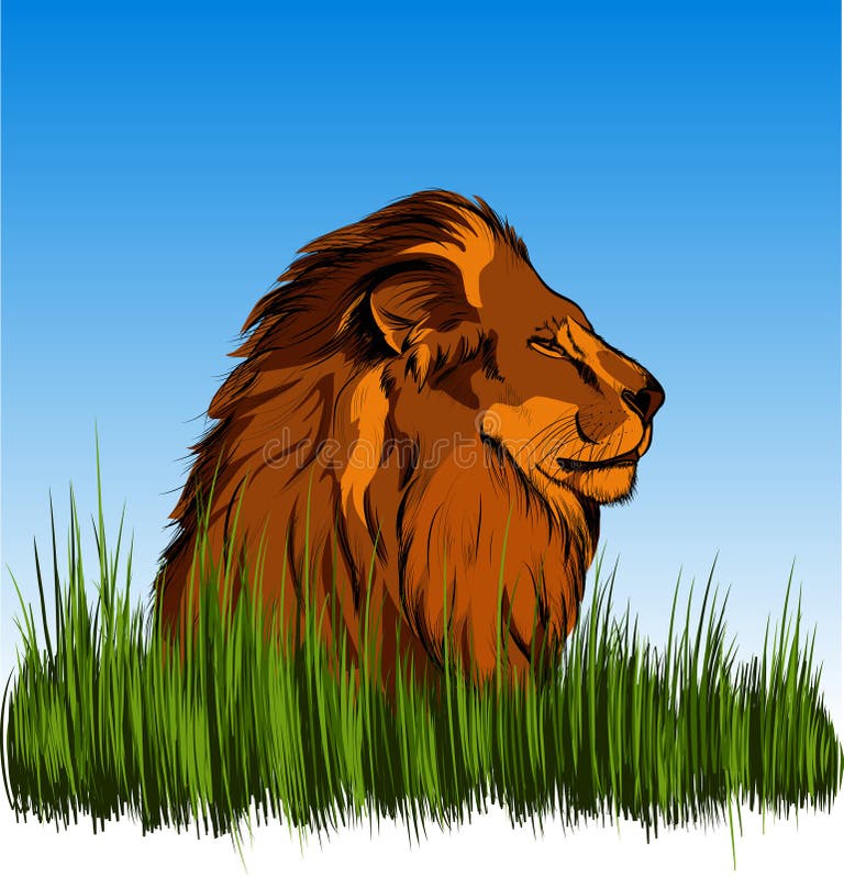 Proud Lion Stock Illustrations – 4,864 Proud Lion Stock Illustrations ...