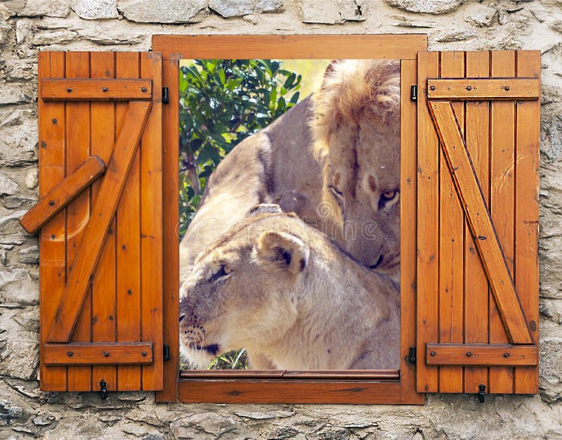 Window in the facade stock photo. Image of colorful - 212601954