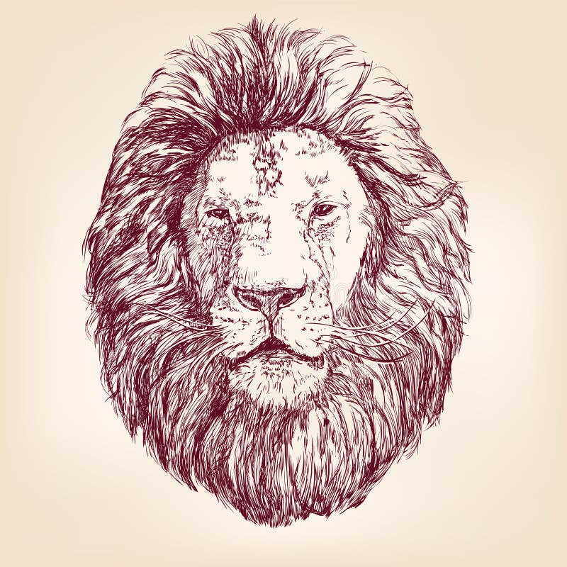 Lion Hand Drawn Vector Stock Illustrations – 9,888 Lion Hand Drawn ...