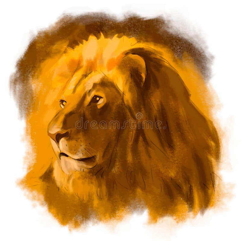 Lion head stock vector. Illustration of lion, jungle - 48918275