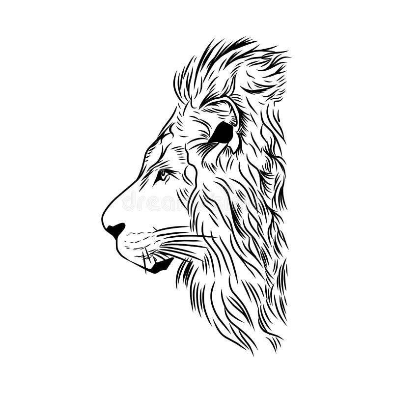 Wild Lion Vector Icon Logo Template Stock Vector - Illustration of ...